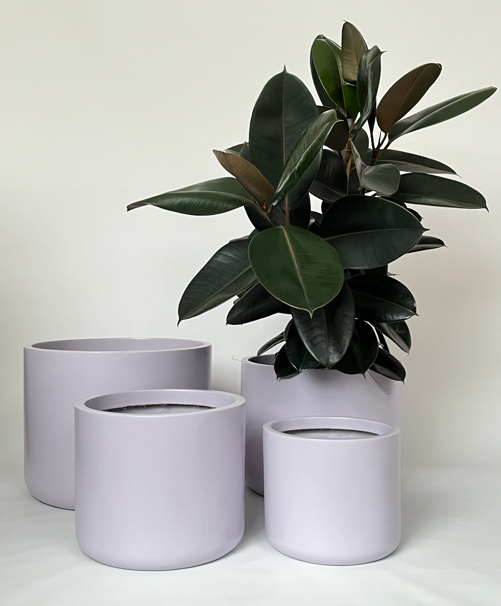 Remy Pot - Lilac | Melbourne Indoor Plants