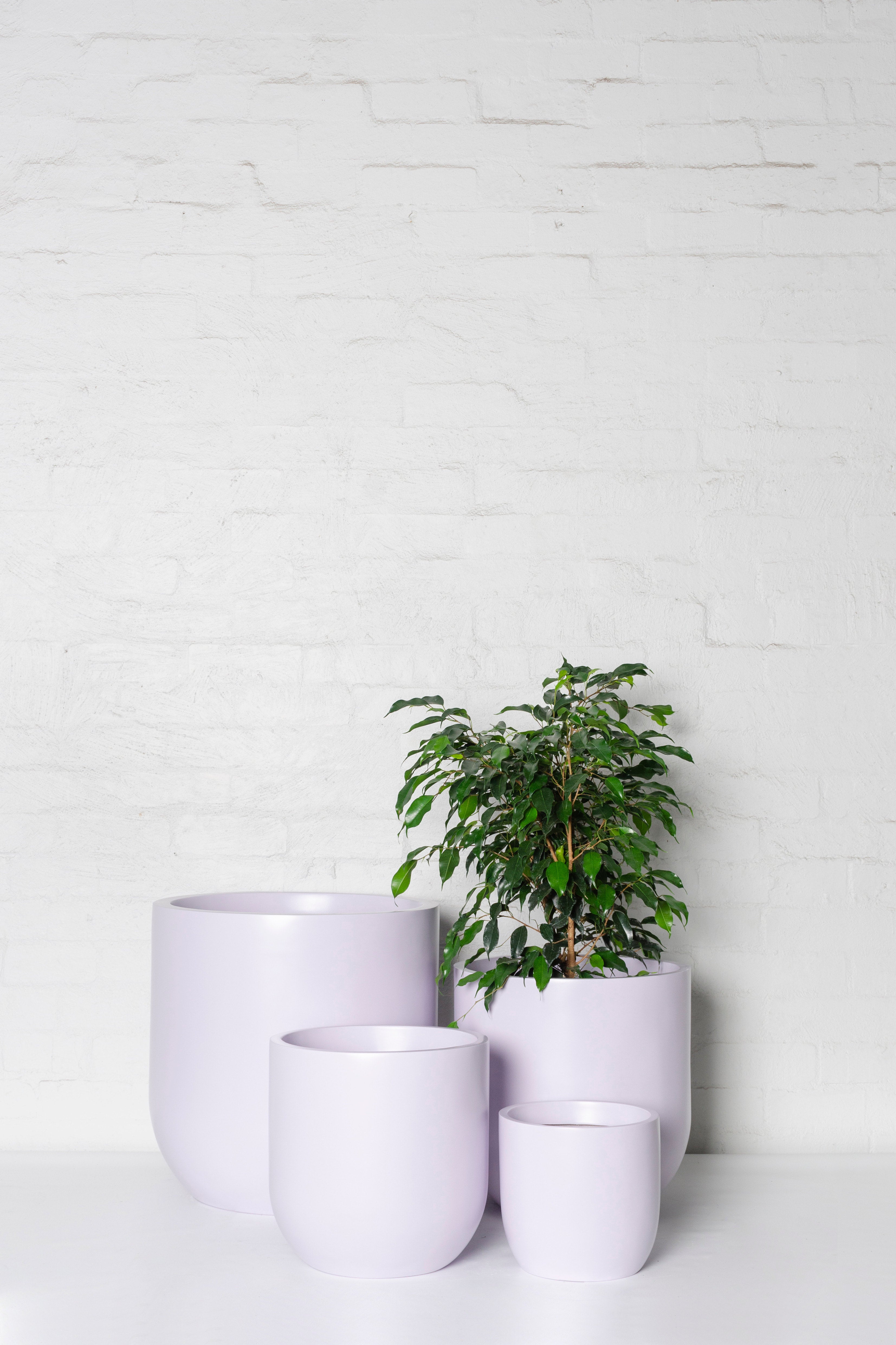Luna Pot - Lilac | Melbourne Indoor Plants