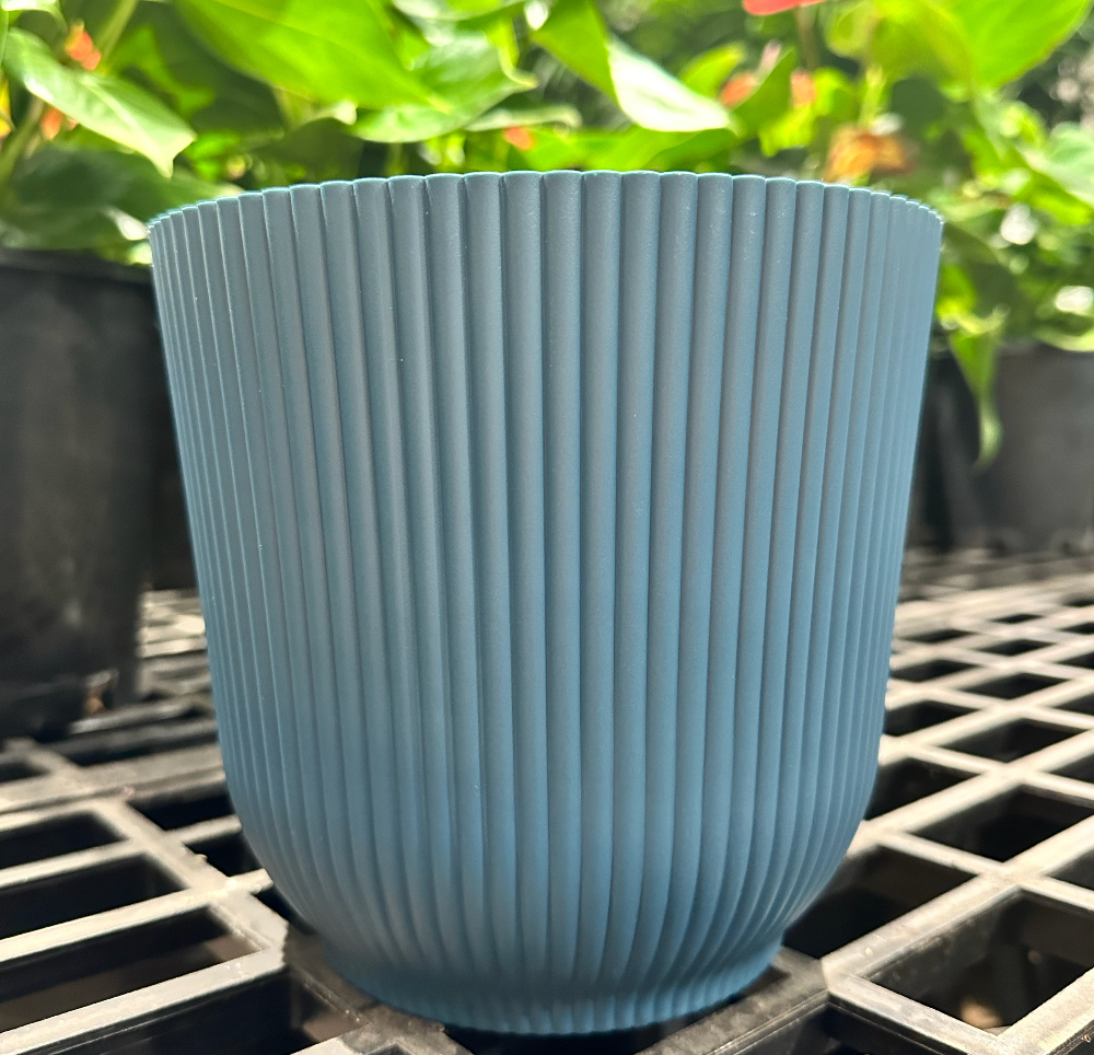 Blue Ribbed Decorative Pot | Melbourne Indoor Plants
