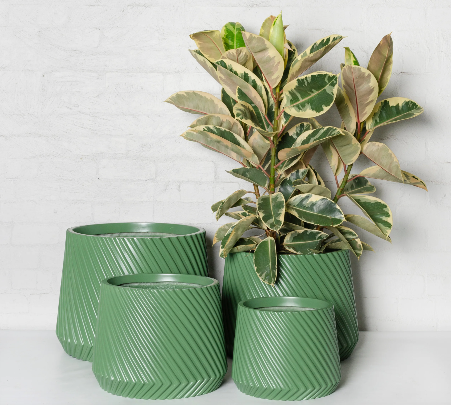 Gigi Pot - Olive Green | Melbourne Indoor Plants