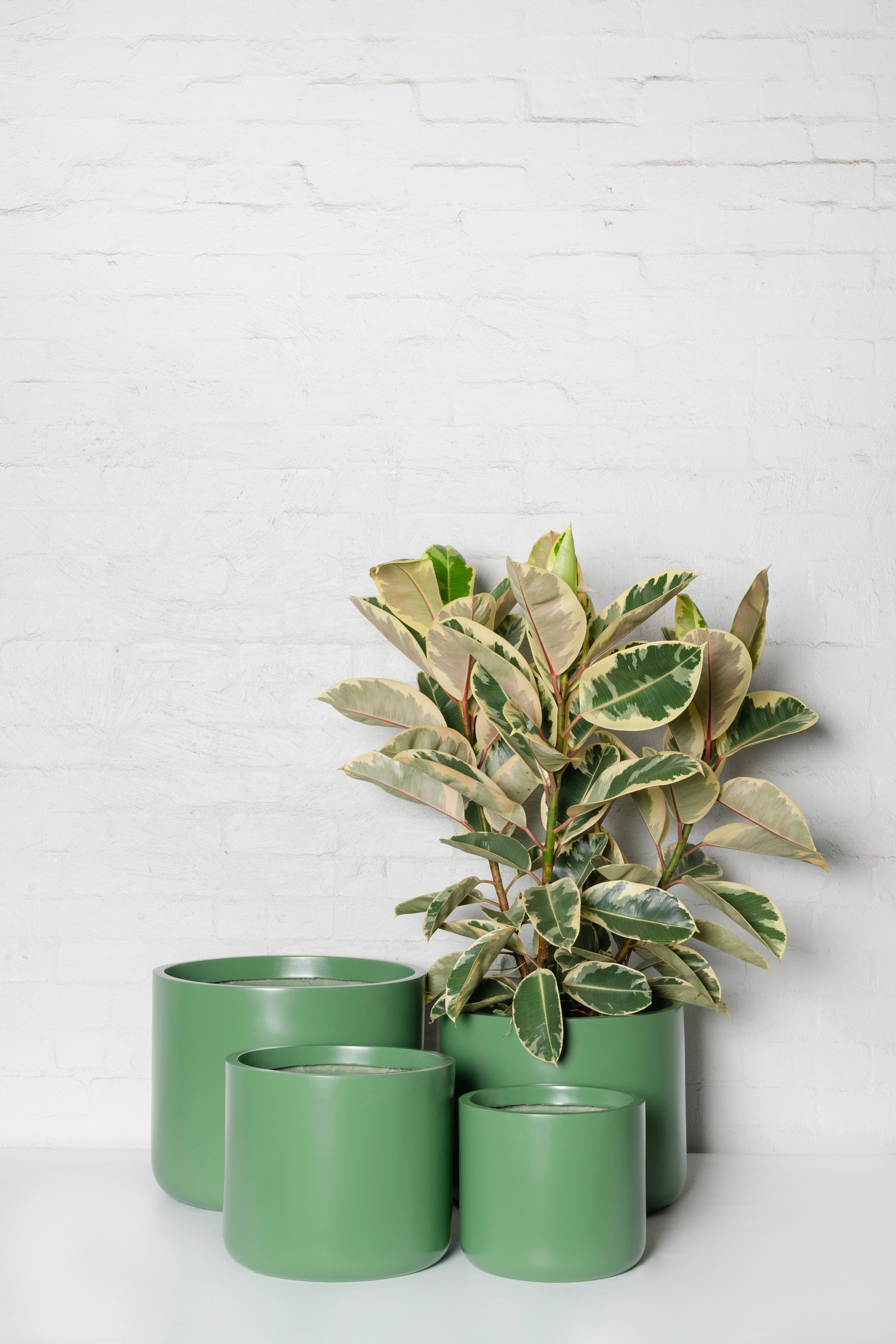 Remy Pot - Olive | Melbourne Indoor Plants