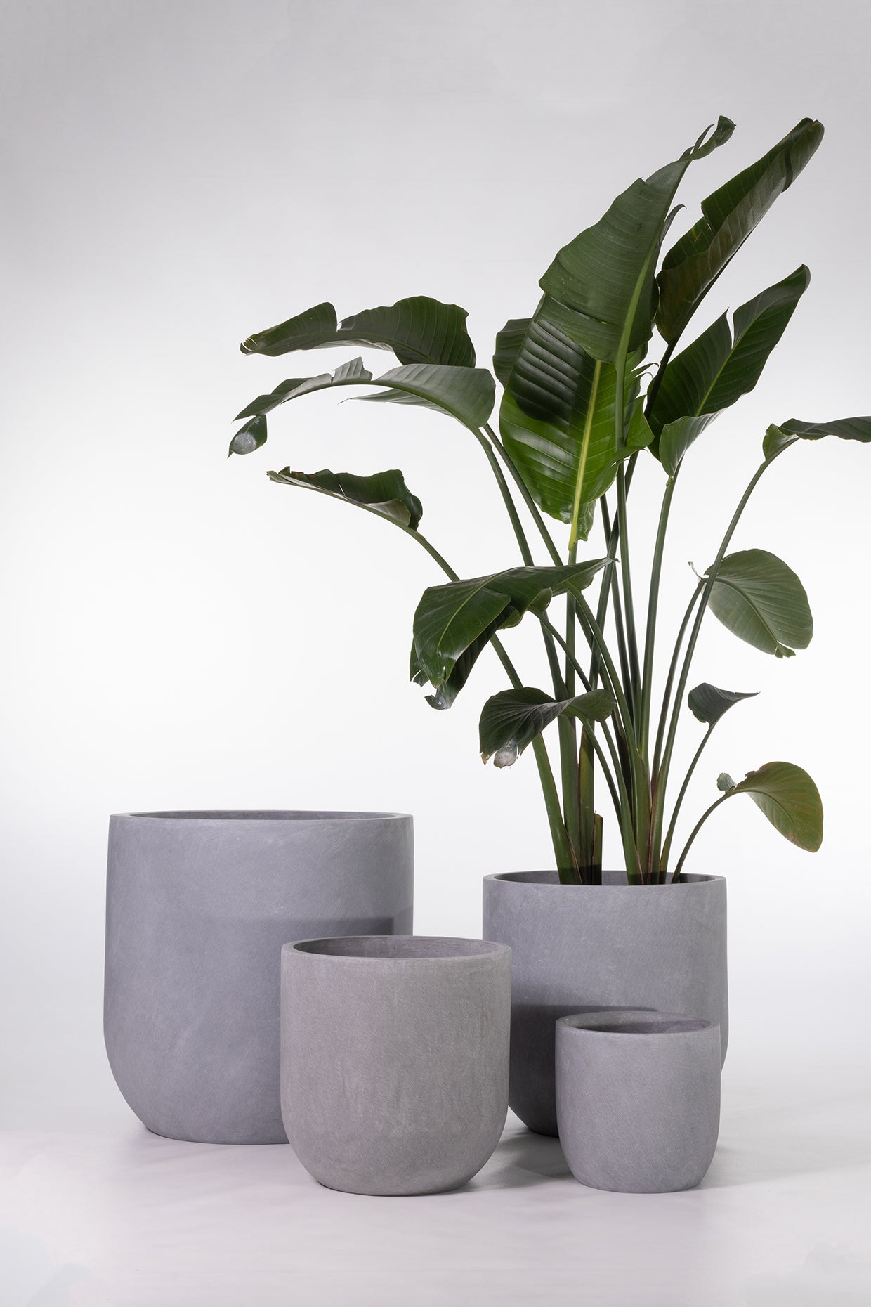 Luna Pot - Cement Grey | Melbourne Indoor Plants