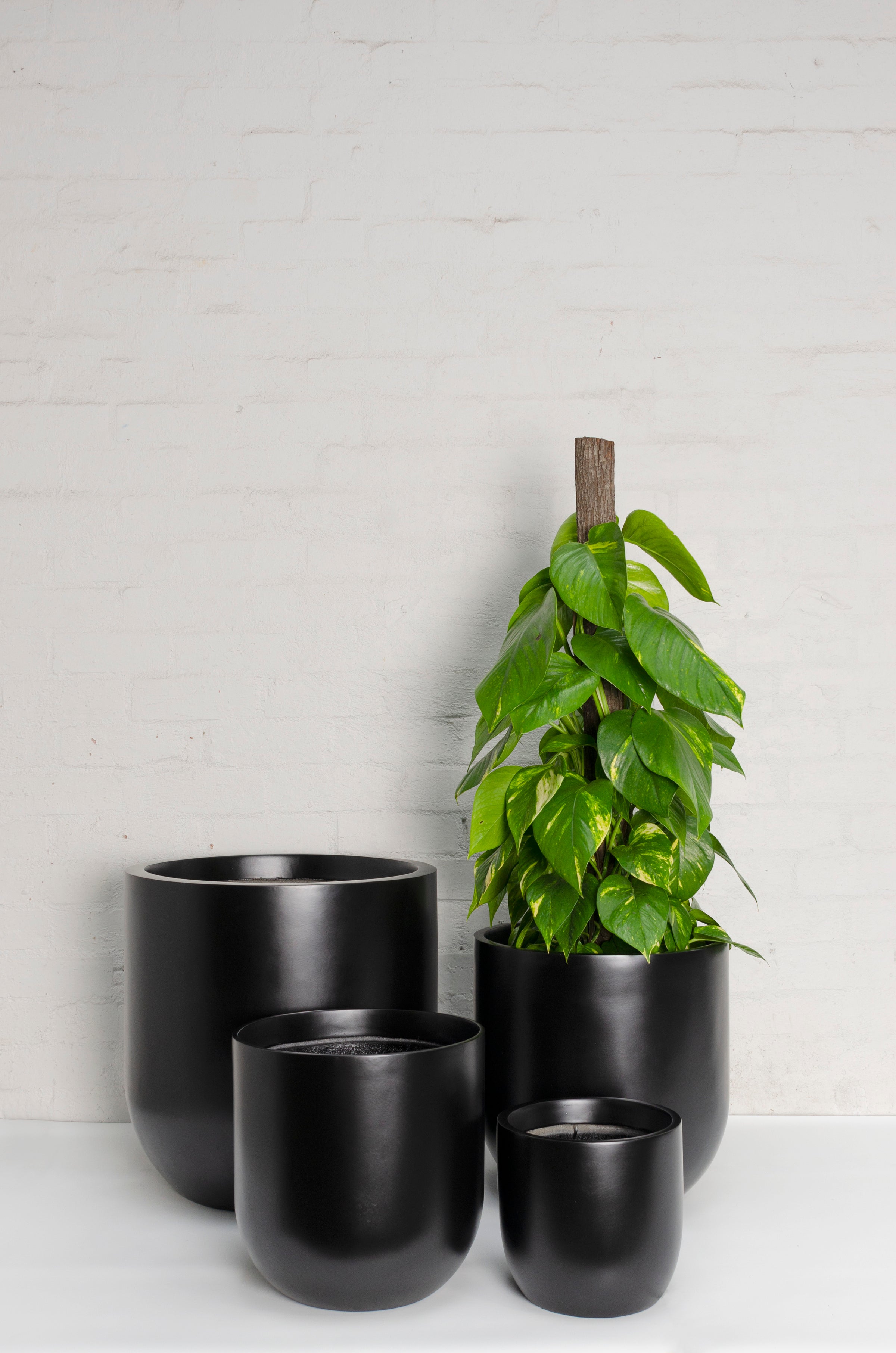 Luna Pot - Black | Melbourne Indoor Plants