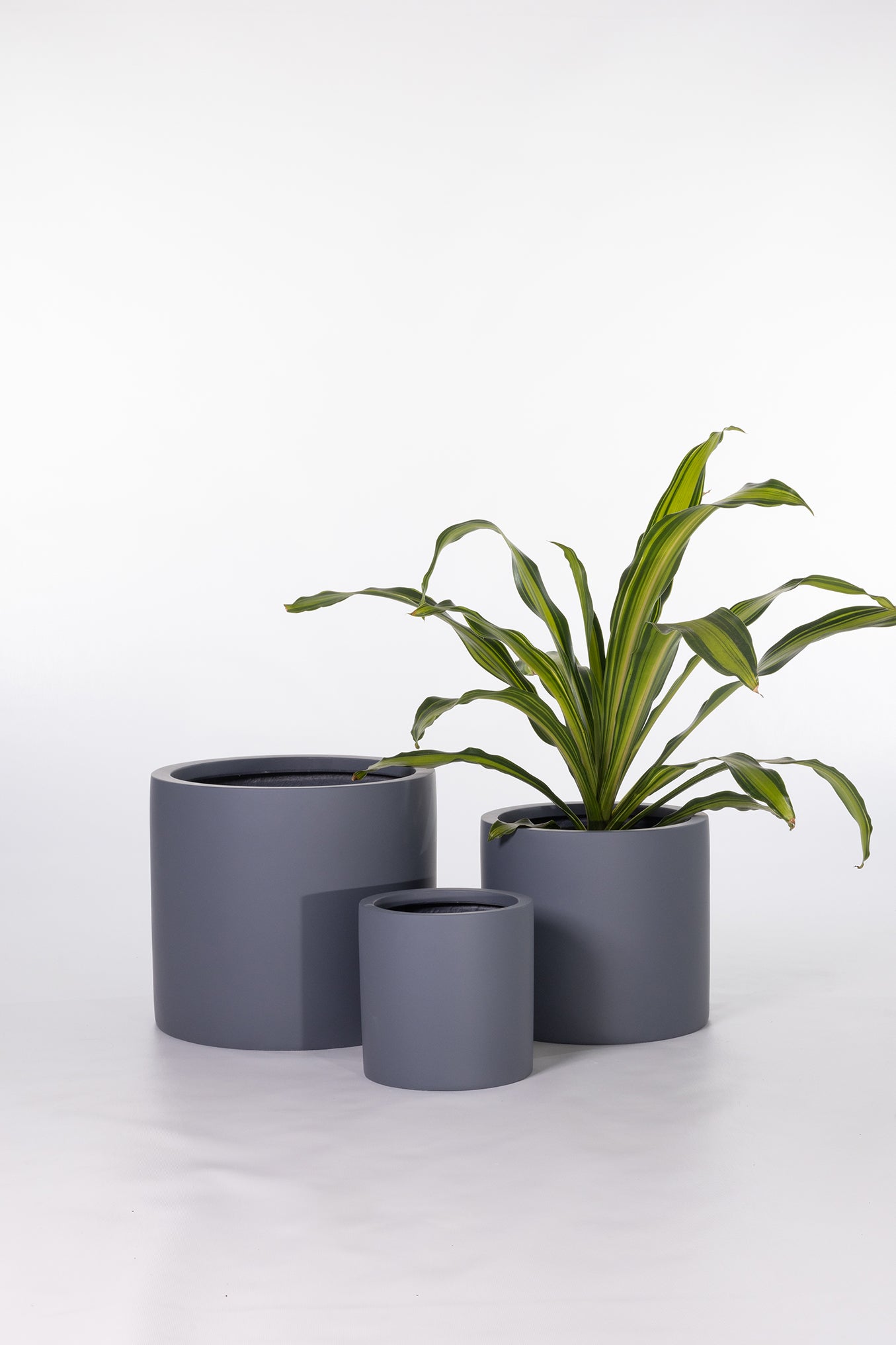 Greca LITE - Grey *SPECIAL 40% OFF POLYSTONE POTS* | Melbourne Indoor ...
