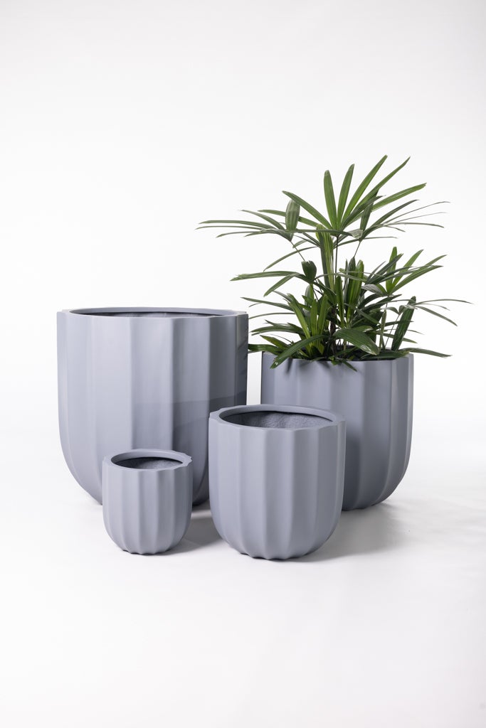 Ray Pot - Grey | Melbourne Indoor Plants