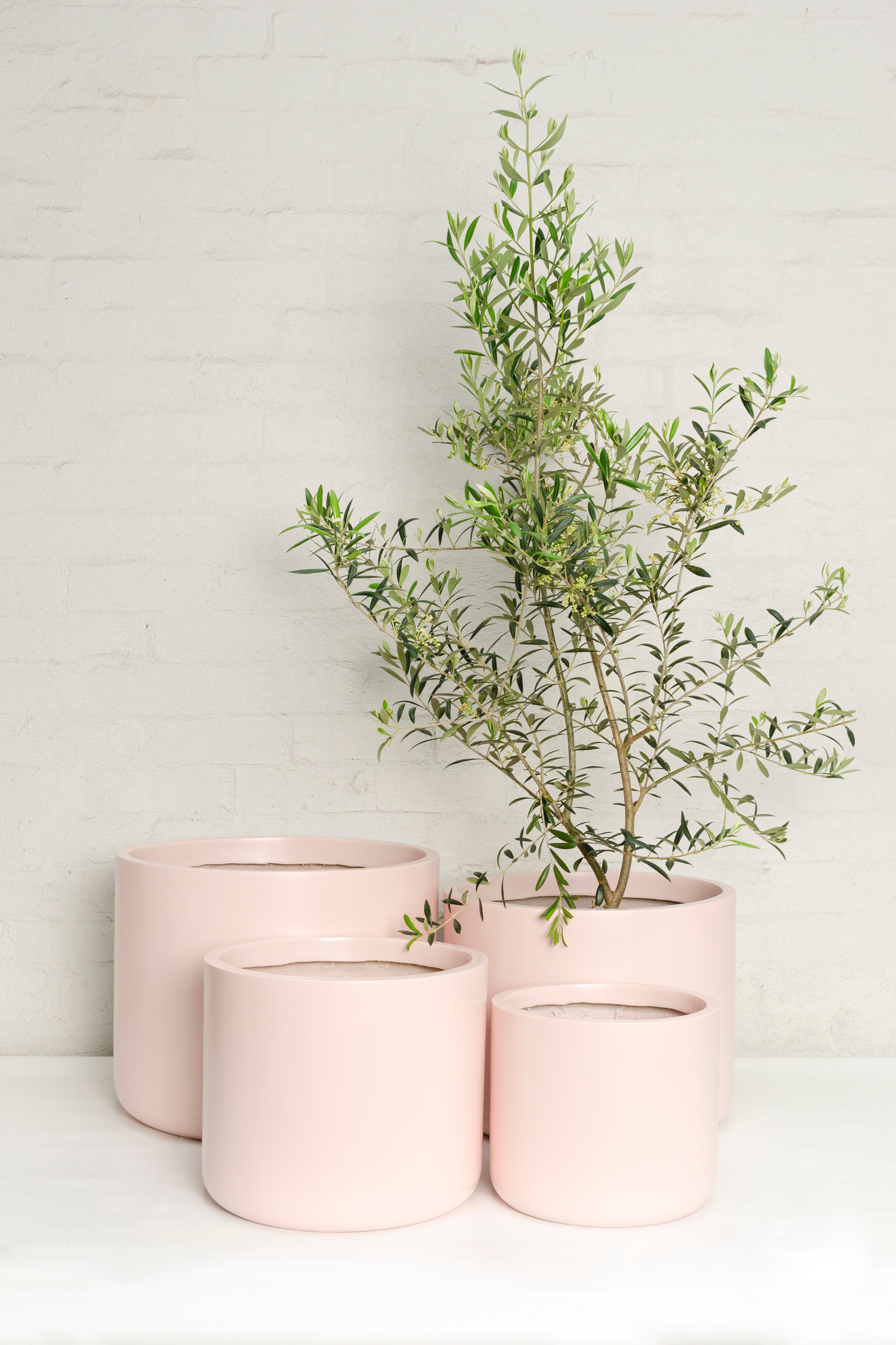 Remy Pot - Pastel Pink | Melbourne Indoor Plants