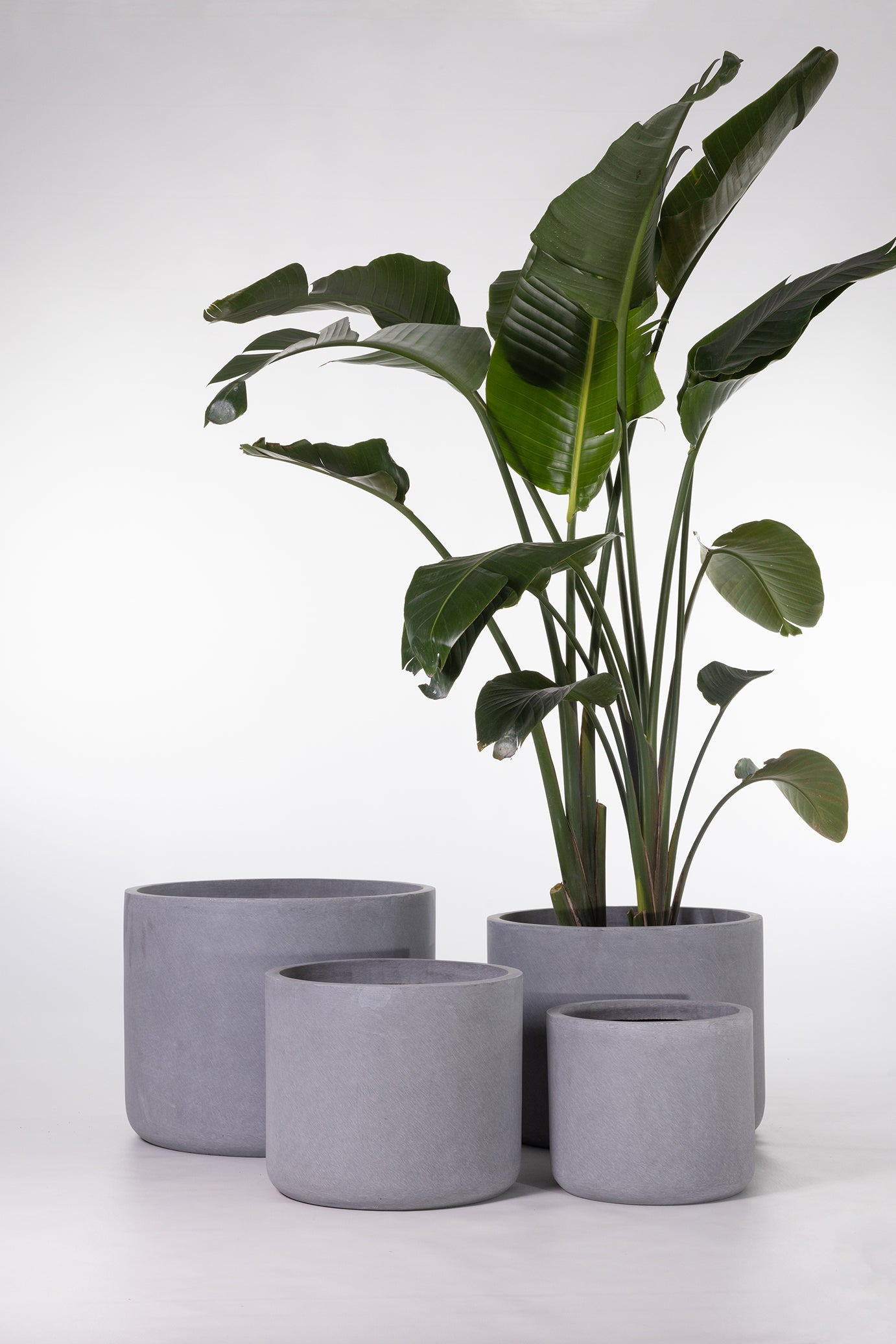 Remy Pot - Cement Grey | Melbourne Indoor Plants
