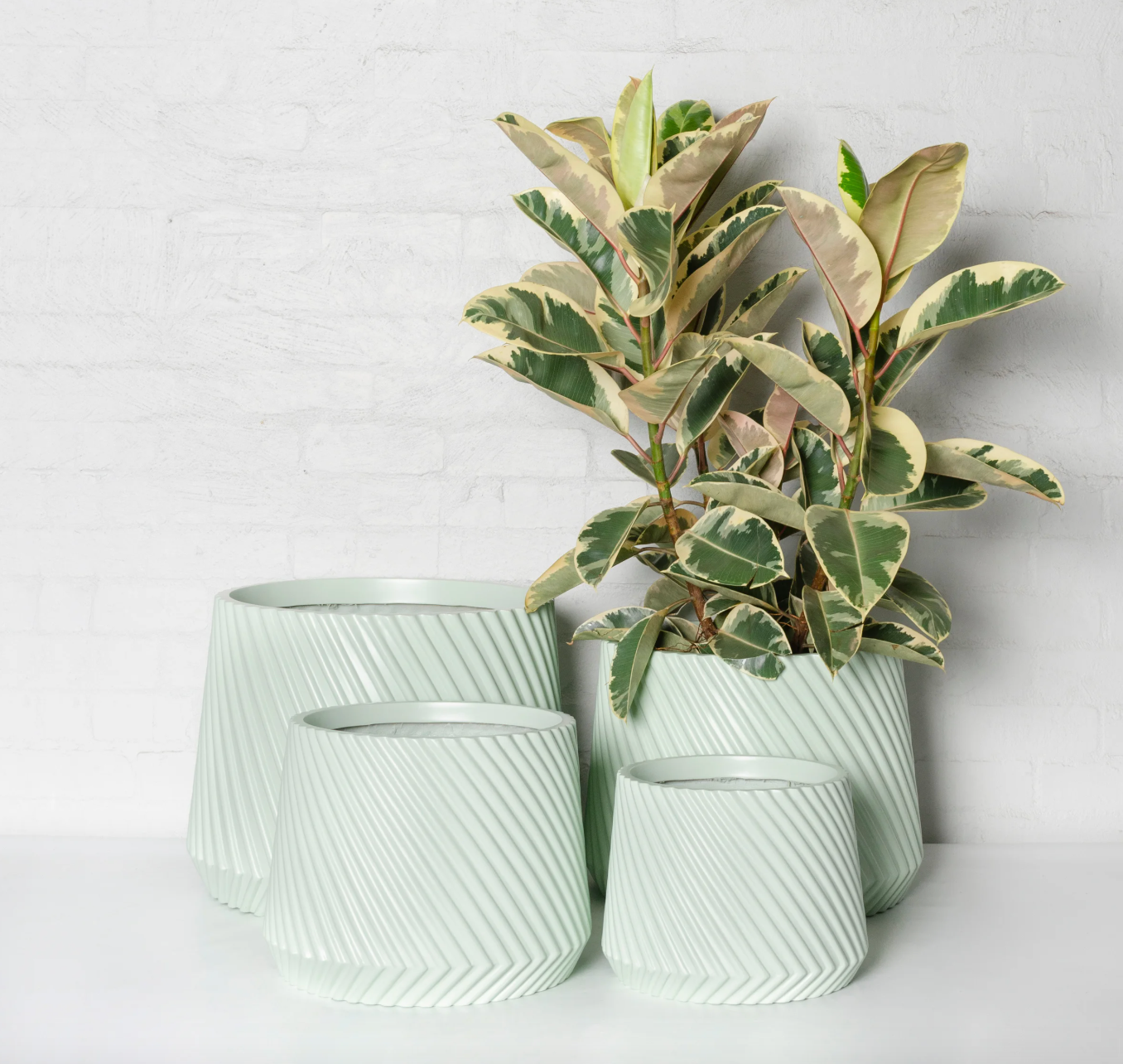 Gigi Pot - Sage | Melbourne Indoor Plants