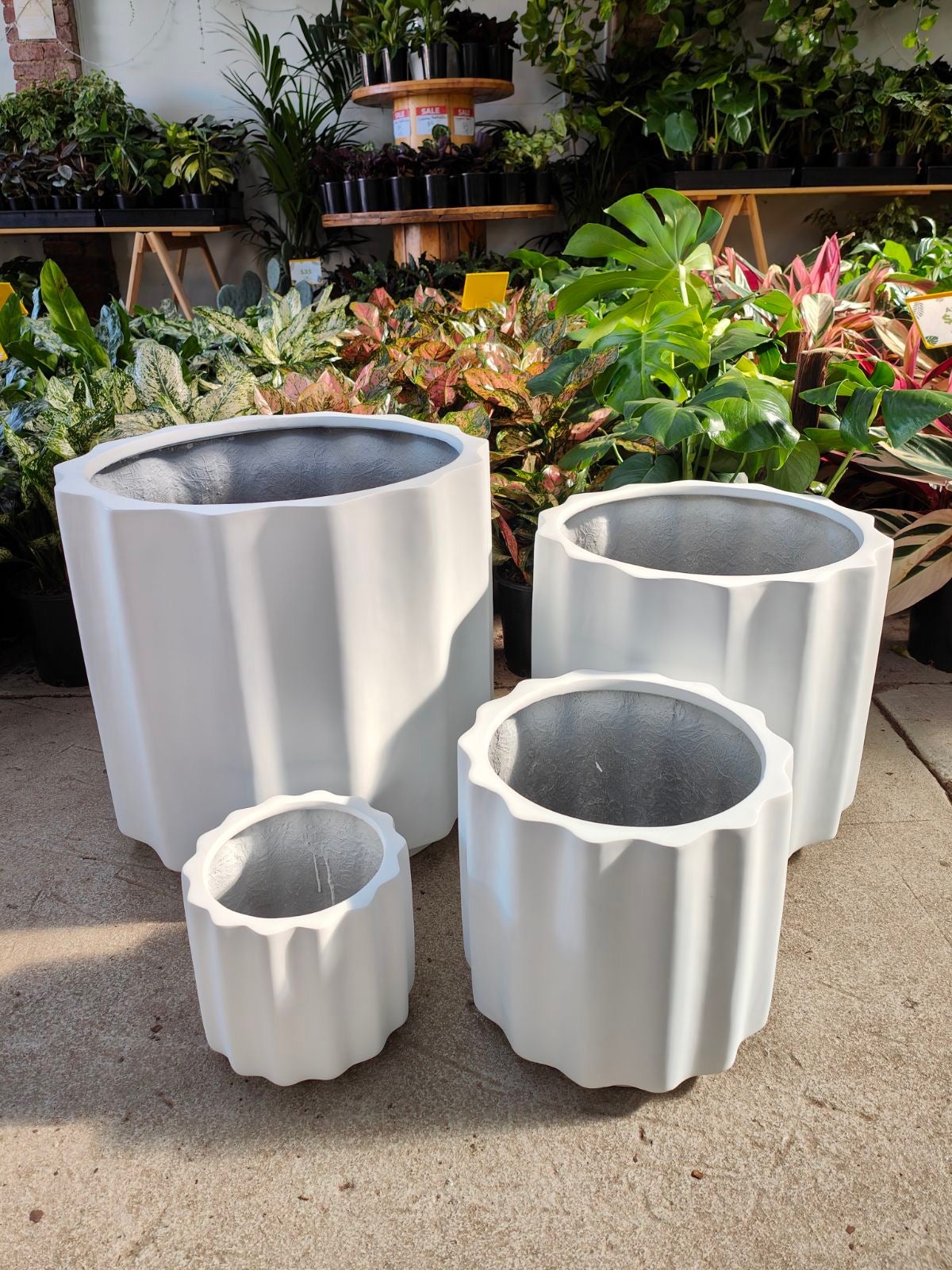 Bloom Pot - White *SPECIAL* | Melbourne Indoor Plants