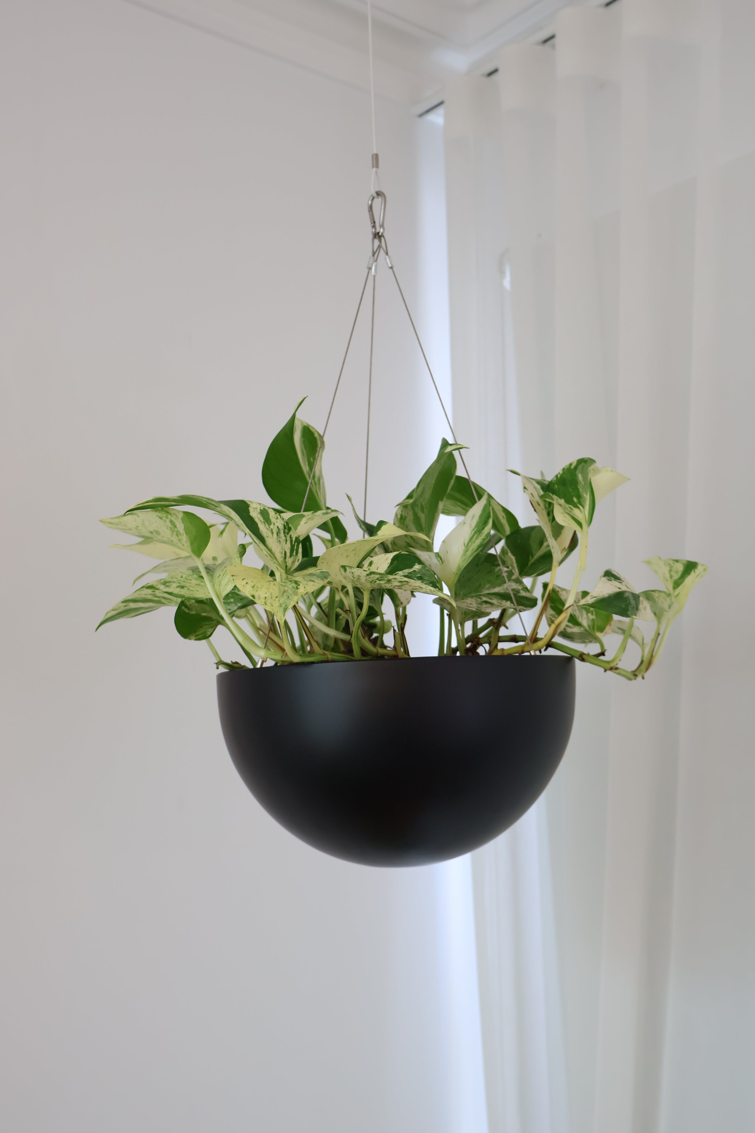 Smooth Coco Hanging Bowl - Black | Melbourne Indoor Plants